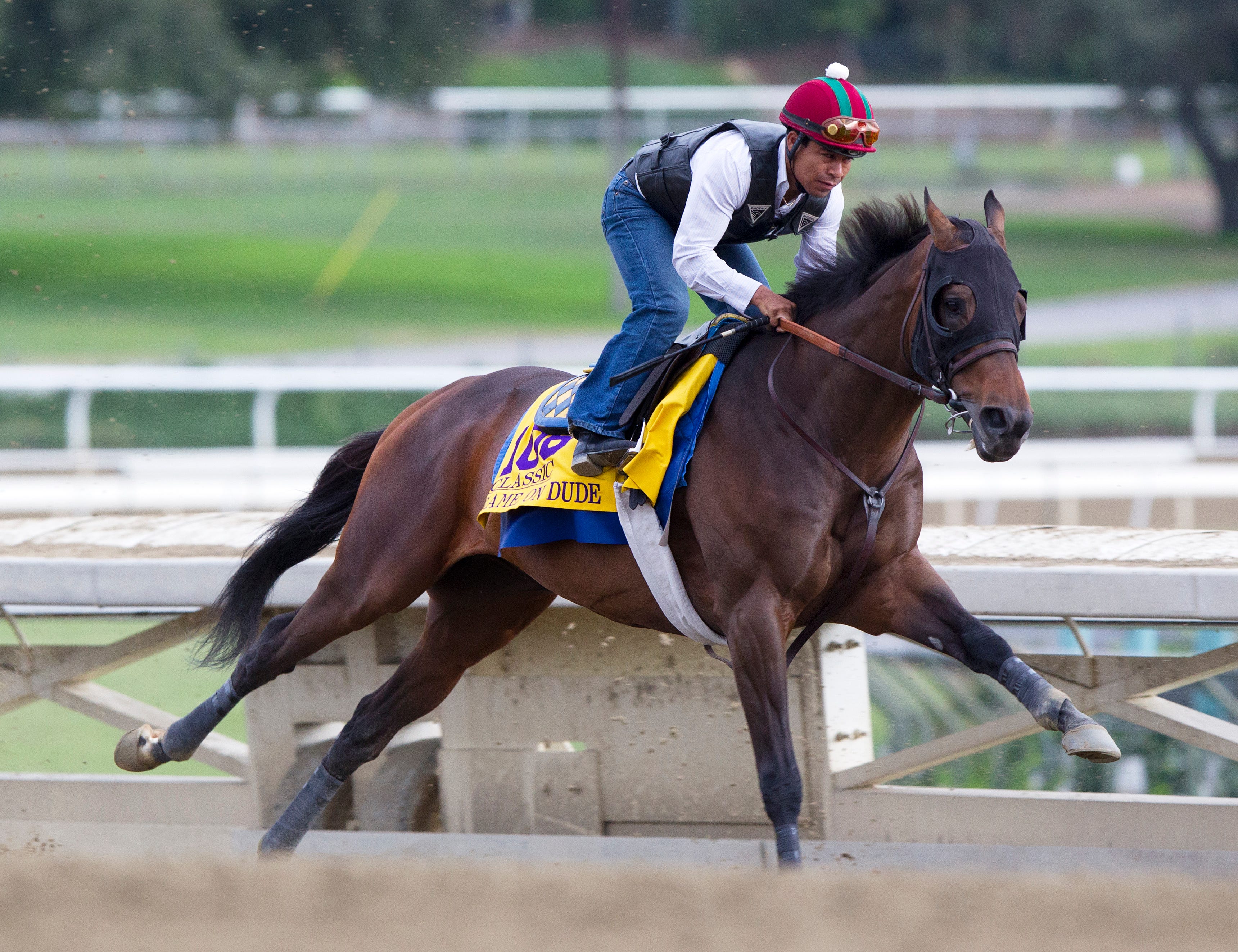 Andrew Beyer: Horse of the Year title on the line at Breeders' Cup